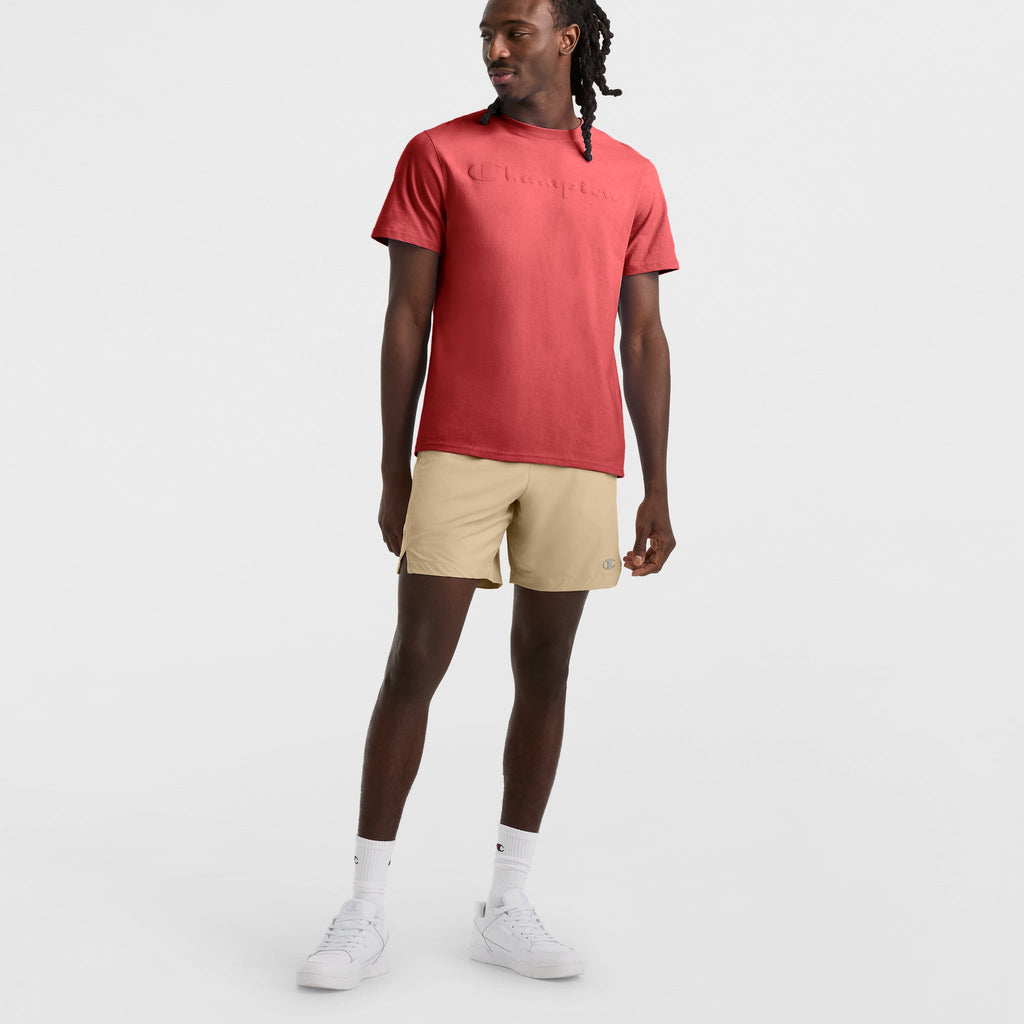 Classic Graphic T-Shirt, Tonal Script Logo - Champion